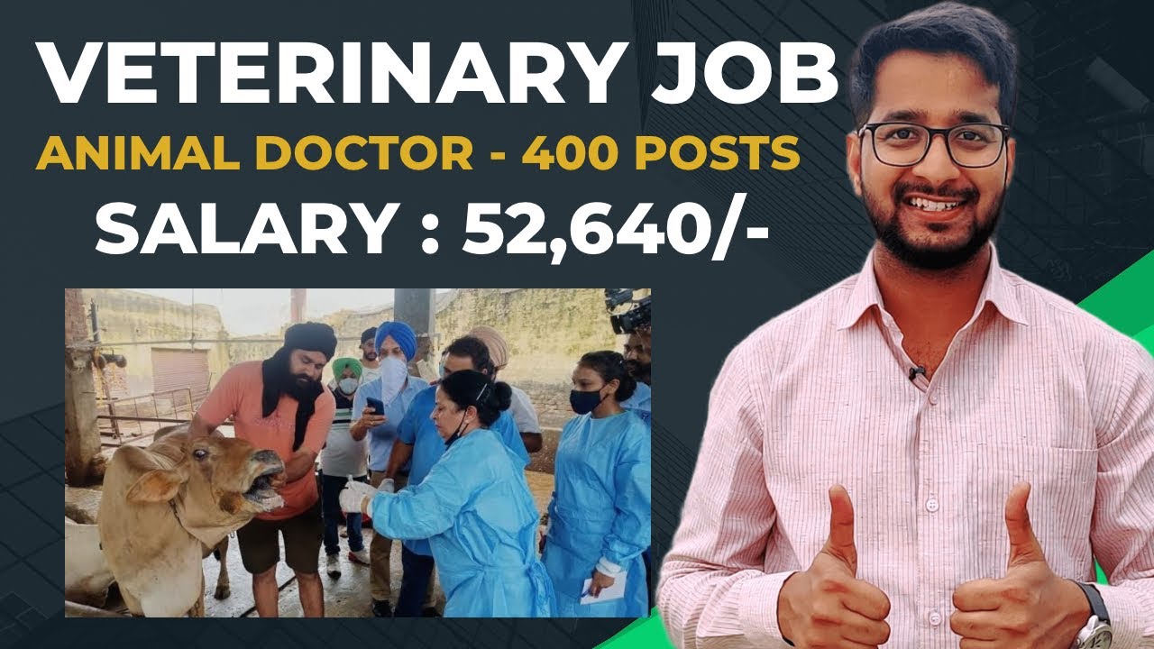 Veterinary Doctor Government Job | Animals Doctor Job Salary 52640 ...