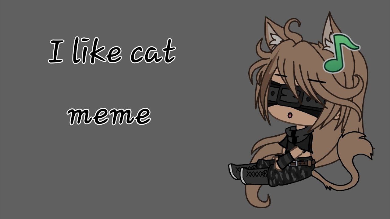 🍁I like cat meme🍁Original🍁 - YouTube