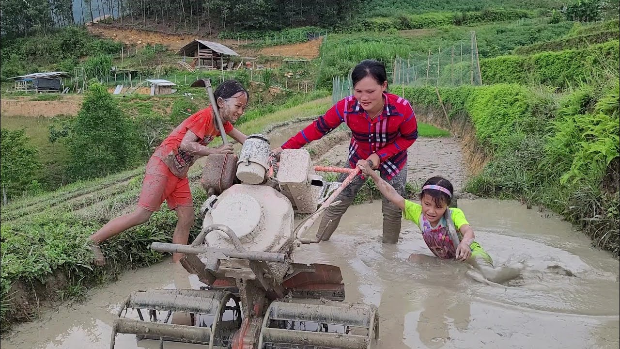 harrow the field to prepare to plant a new rice crop, build a farm life ...