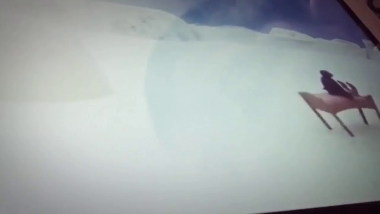 The Walrus Roar (a Chase Rafter is Back Crossover) - YouTube