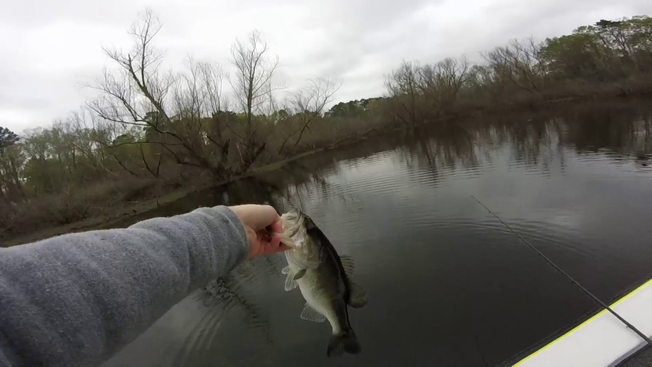 Dallas' Bass Fishing Montage - YouTube