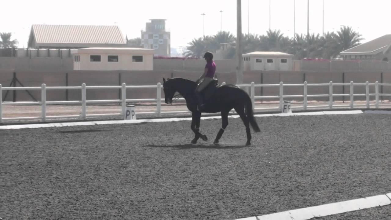 Janis freestyle Disney - YouTube