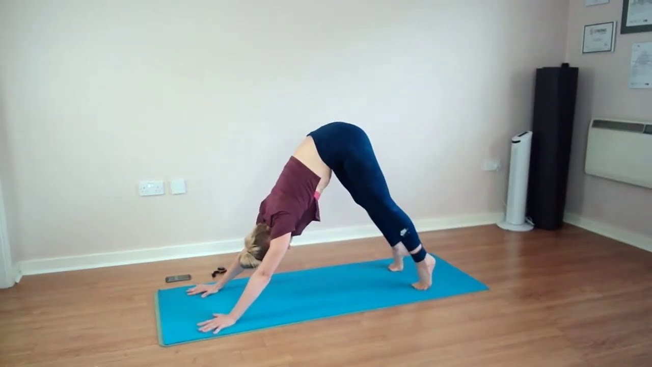 Animal Flow Beginner Part 2 Bulletworkouts - YouTube