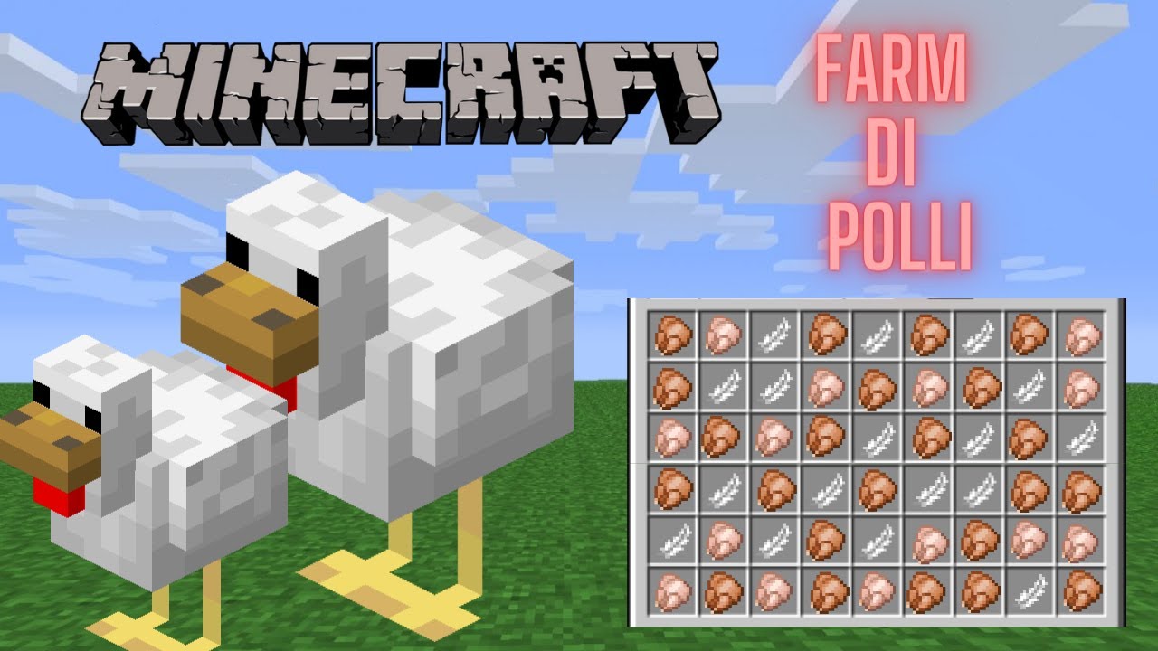 FARM DI POLLI SEMPLICE ED EFFICACE MINECRAFT JAVA 1.19.4 - YouTube