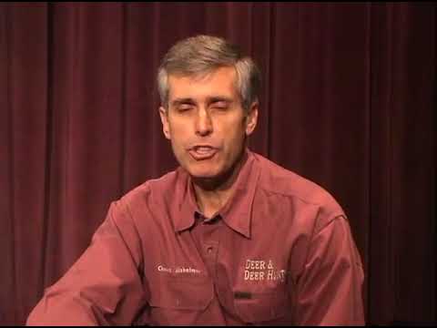 Charlie Alsheimer - True Stories - YouTube