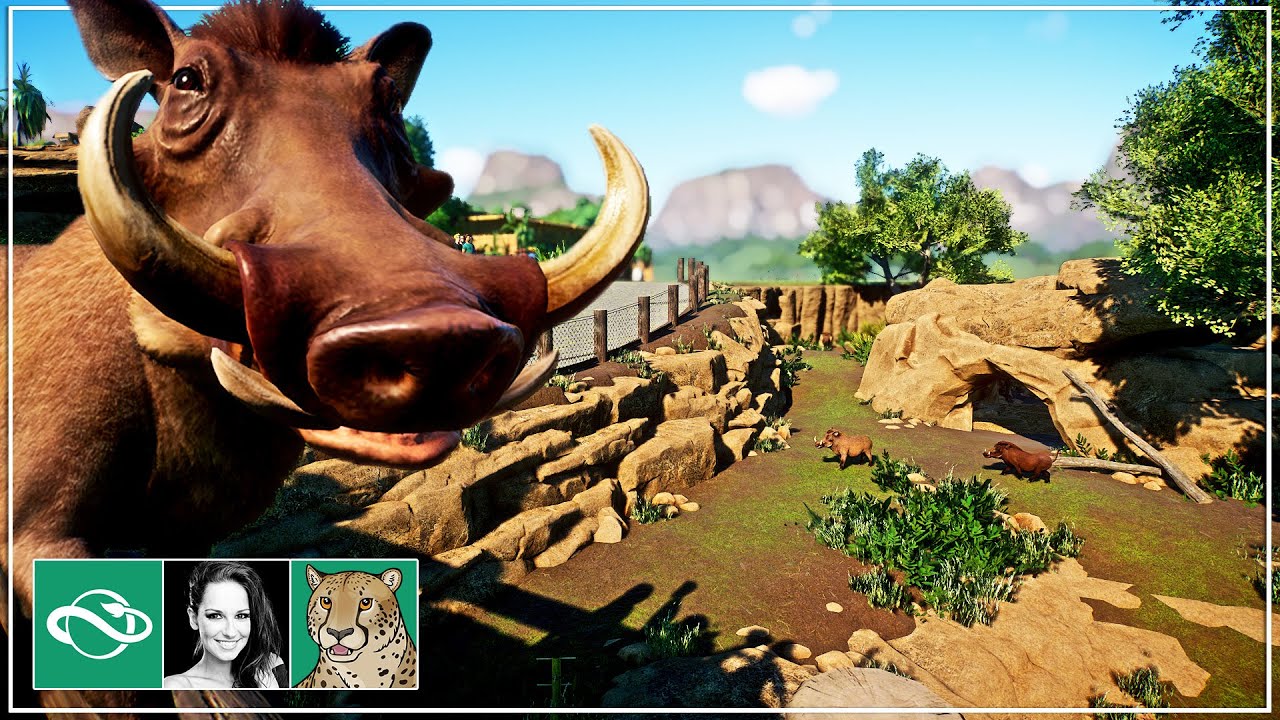 🐆 Building an Extraordinary Warthog Habitat at Abuya Zoo | Planet Zoo ...
