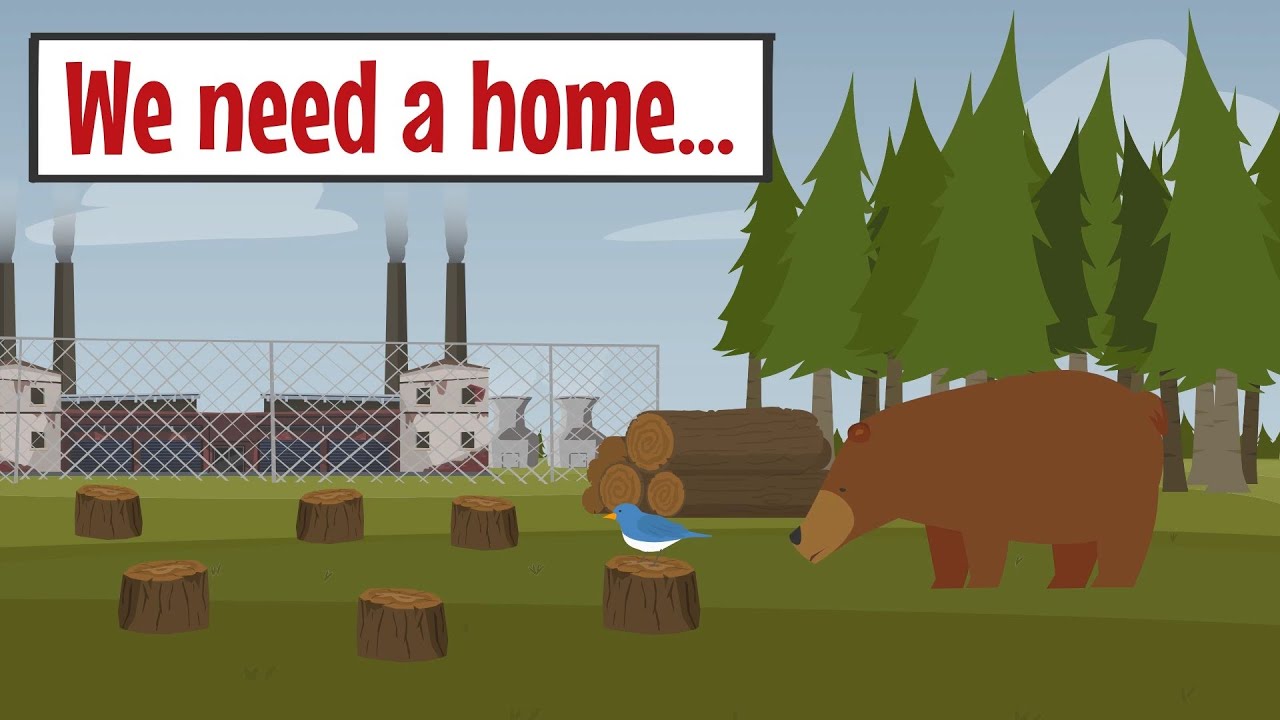 We need a home ... - Improve English Listening and Speaking Skills ...