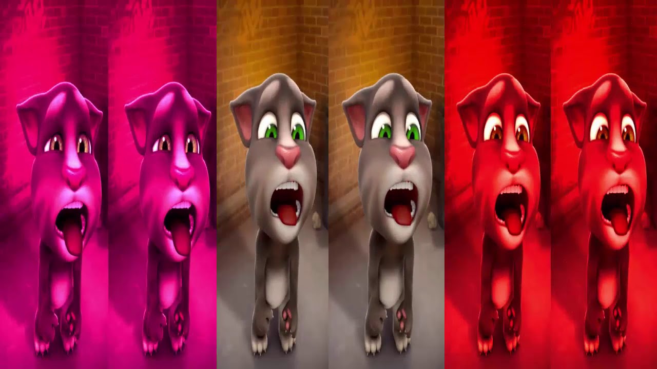 Learn Colors with My Talking Tom Colours for Kids Animation Education ...