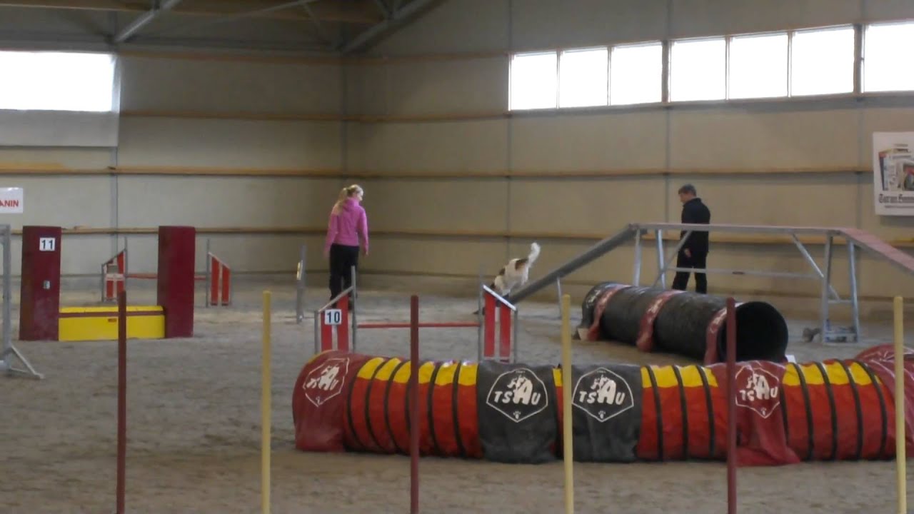 Nora & Aida agility Lieto 30.4.2011 B-kisa - YouTube