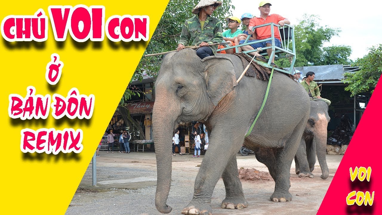 Chú voi con ở Bản Đôn remix | Nhạc thiếu nhi hay nhất - YouTube