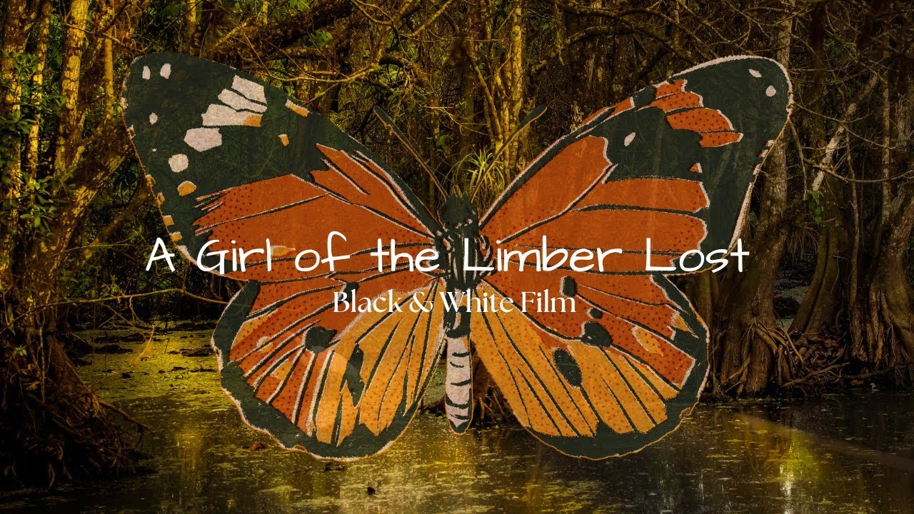 A Girl of the Limber Lost (1934) | Classic Black & White Movie Adapted ...