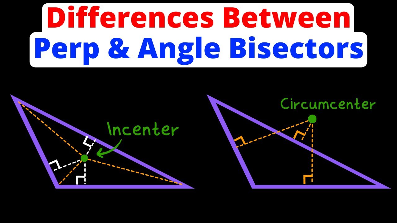Differences Between Perpendicular & Angle Bisectors in Triangles ...