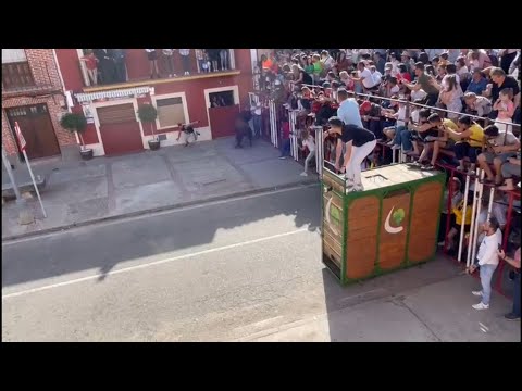 Así ha sido la cogida del toro al varón en el encierro de las Fiestas del Verdejo de La Seca