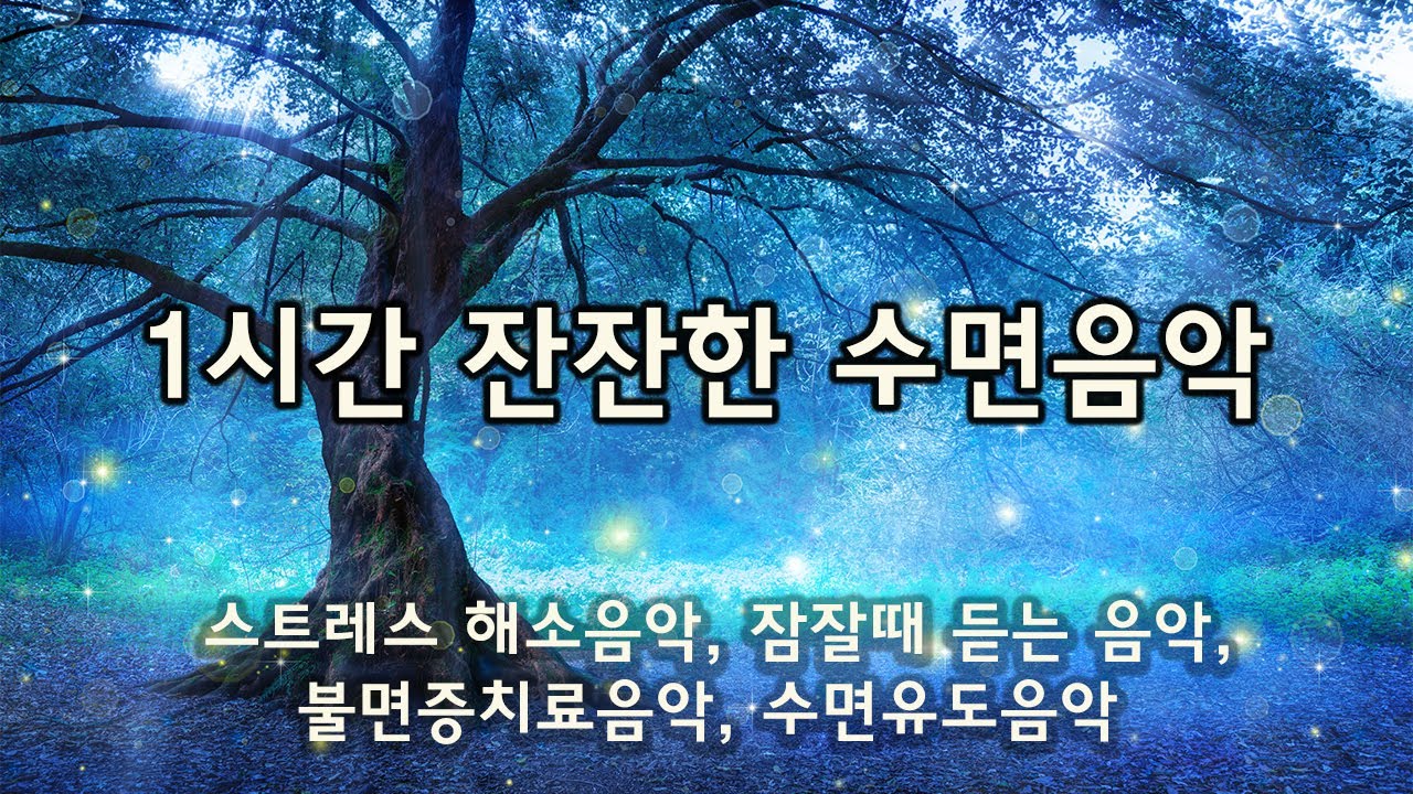 1시간 잔잔한 수면음악 🎵 스트레스 해소음악 잠잘때 듣는 음악 불면증치료음악 수면유도음악 🎵 듣자마자 깊은 숙면 도와드릴