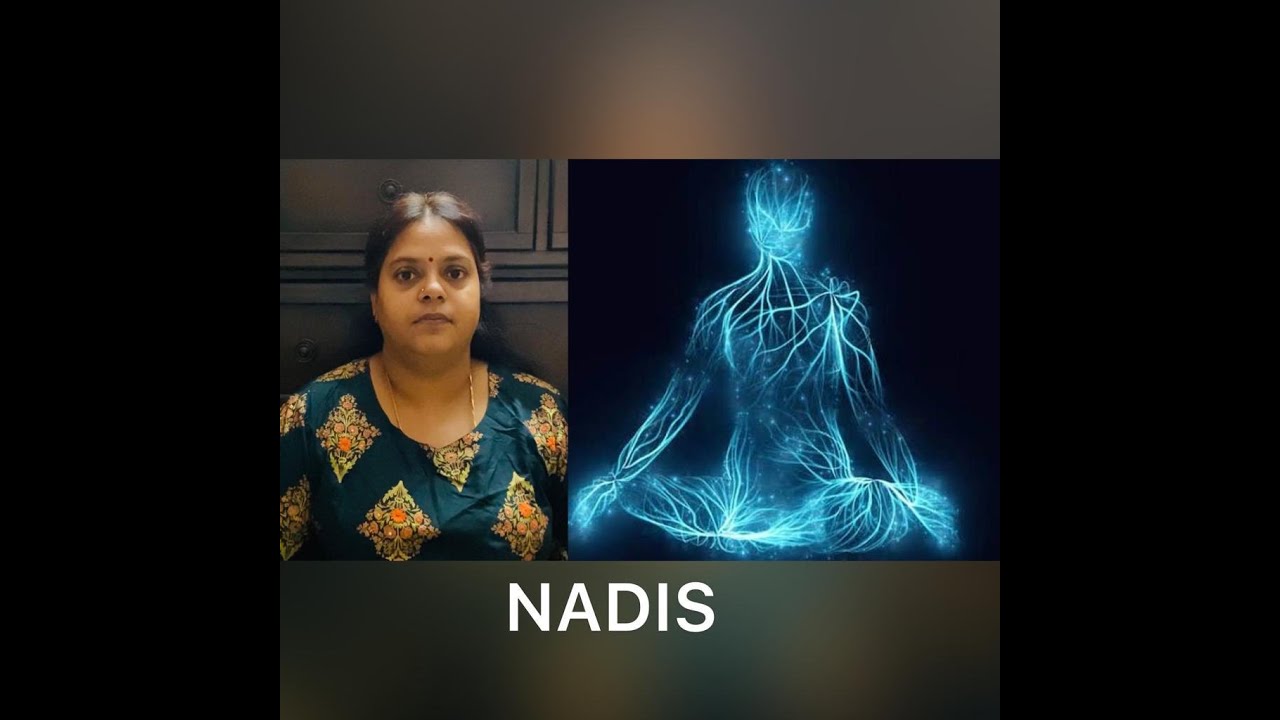 Nadis Explained | 10 important Nadis | Siddha Siddanta Paddhati| Tamil ...