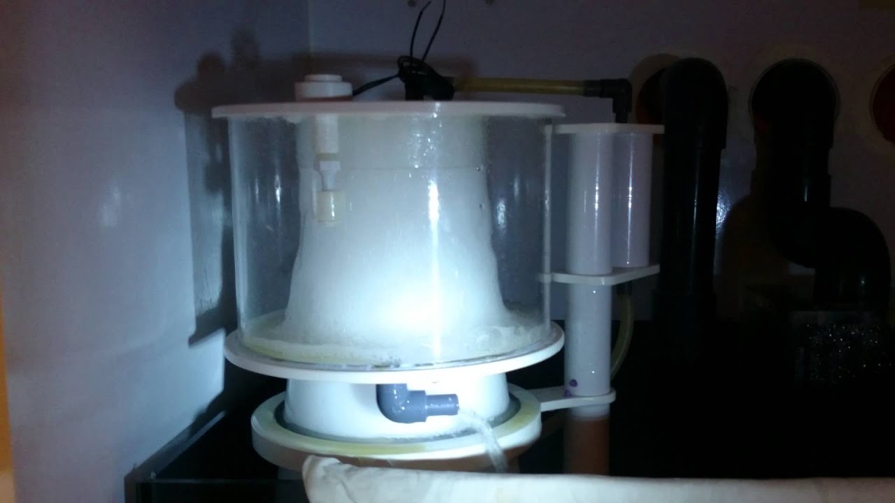 Atb Elegance 200 Protein Skimmer - YouTube