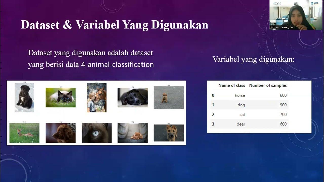 Classification 4 Animals Using MobileNet - YouTube