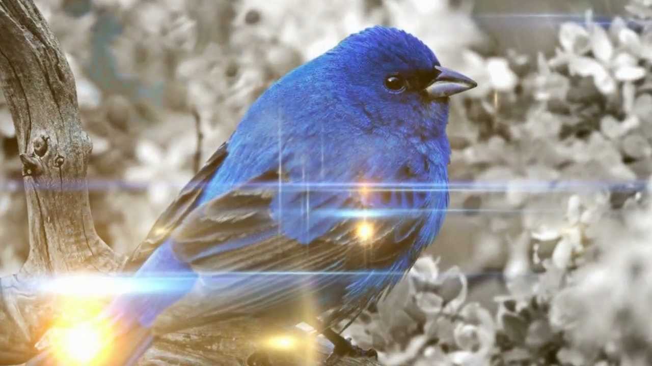 Crede (Believe) - YouTube