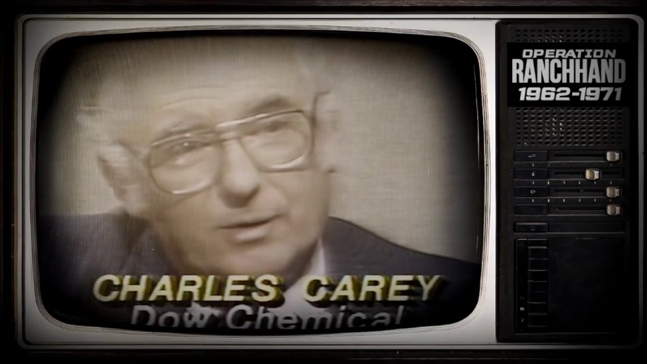 Matt Landman - Chemtrails - Frankenskies and the Risk To Life - YouTube