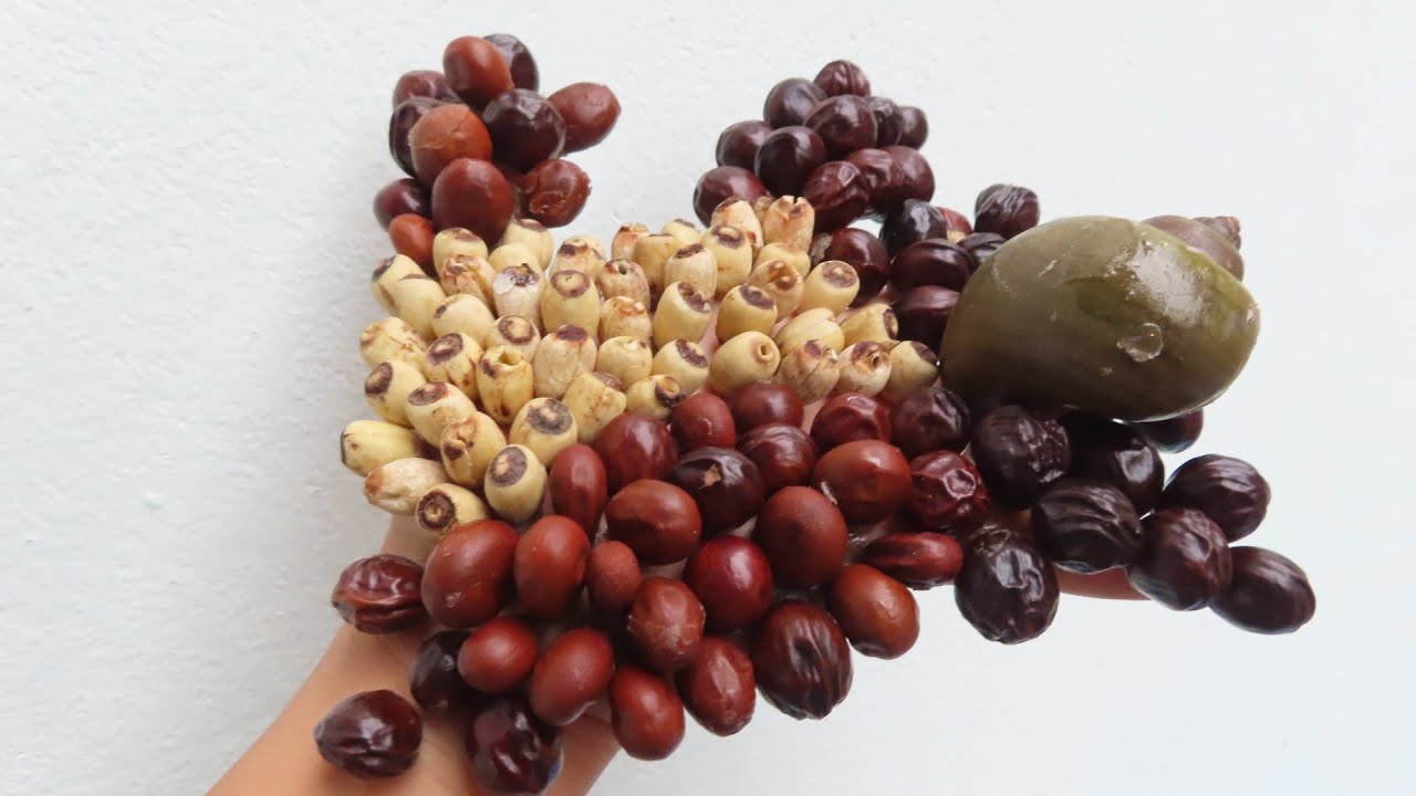 [ Big Ticks ] How to remove ticks style on woman hand | Designed from ...