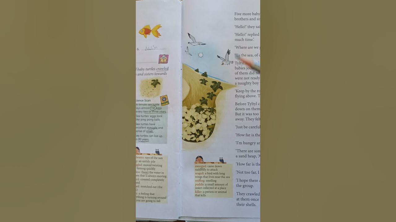 Class 2 - Tyltyl's Adventure - YouTube