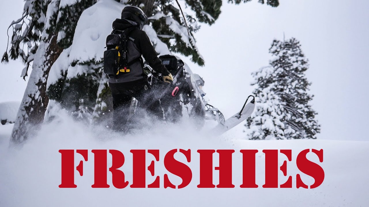 Beautiful Snowmobile Powder day in the Sierra 4k - YouTube