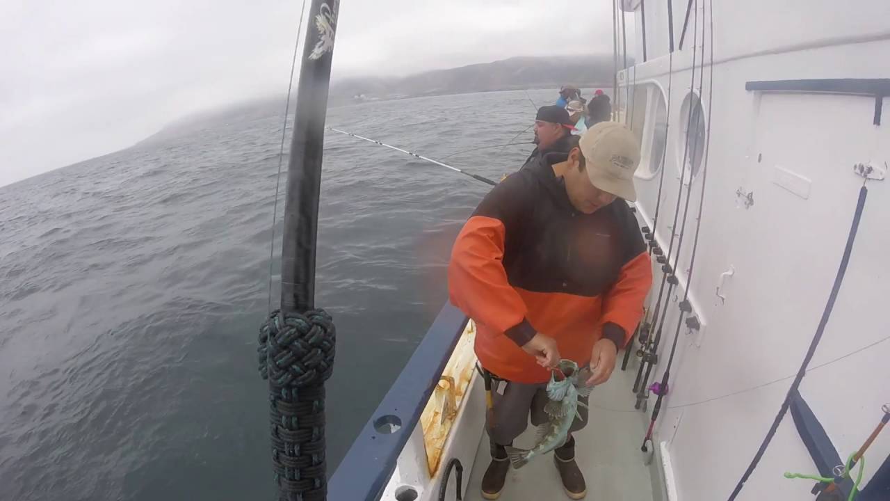 fishing with ray j and friends avila beach phenix rods all day - YouTube