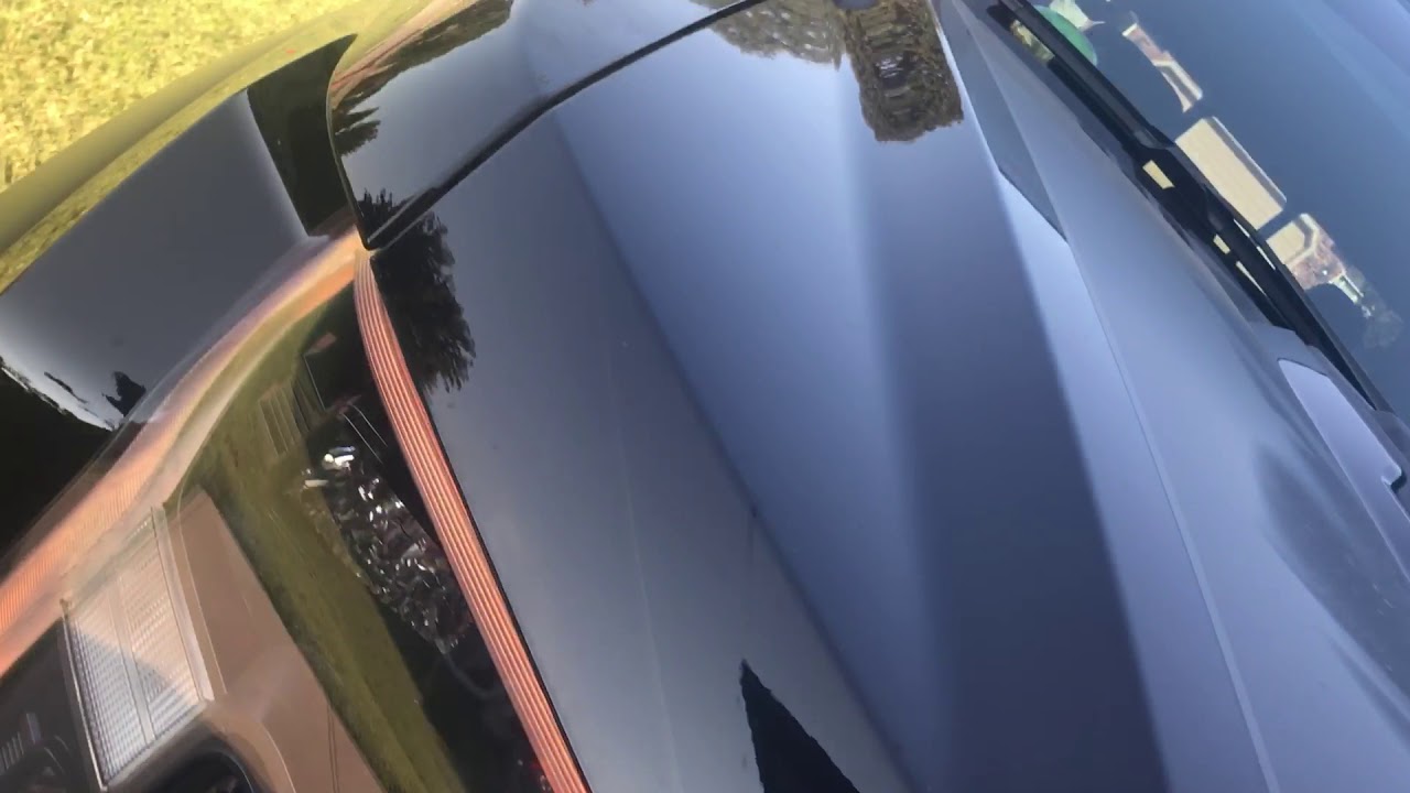 2017 raptor rattle - YouTube