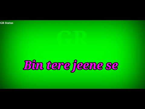 Tera hua jo deedar status