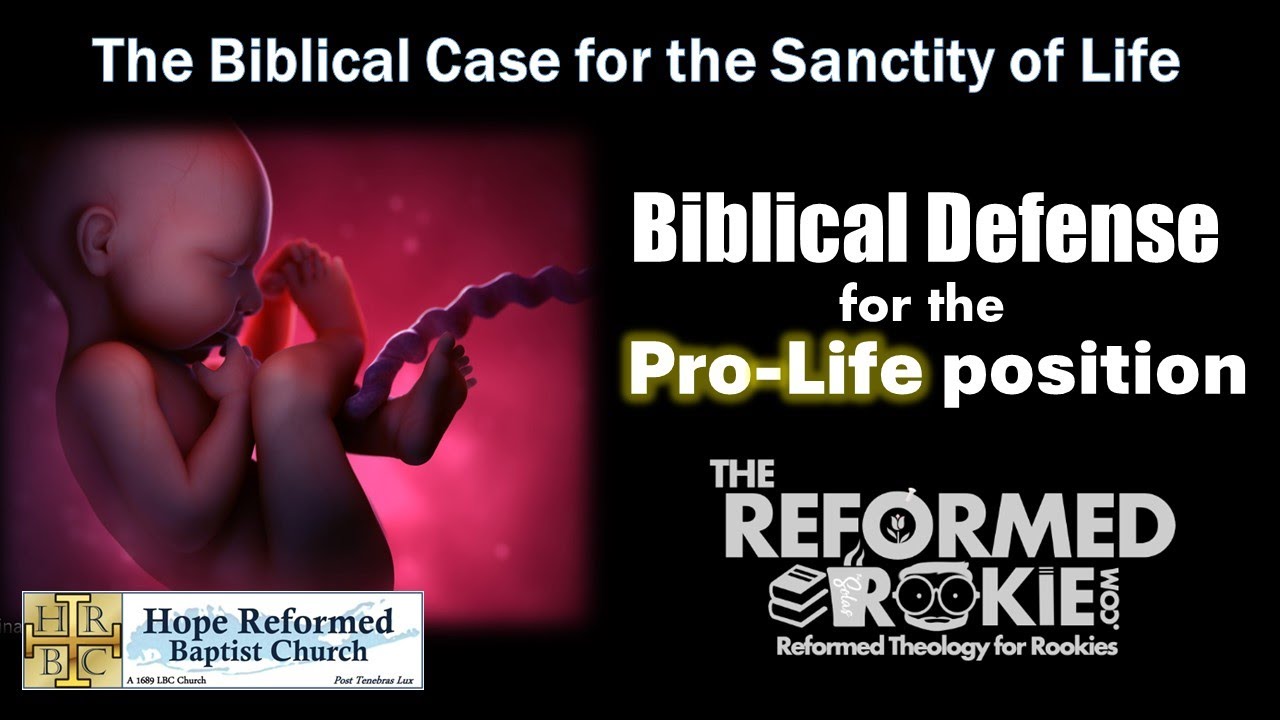 The Pro Life Position Explained and Defended - YouTube