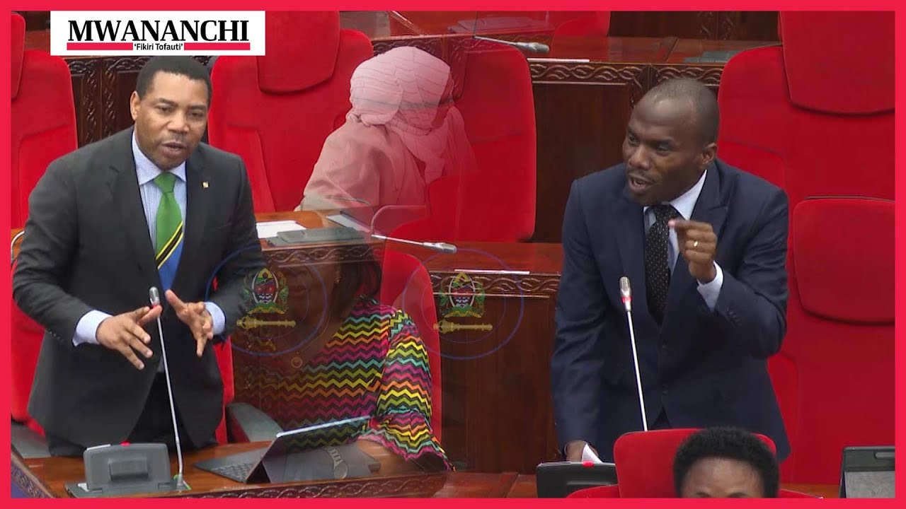 "Hapa Mwigulu Tunadanganyana" Mbunge Dk Pius Chaya awaka Bungeni - YouTube
