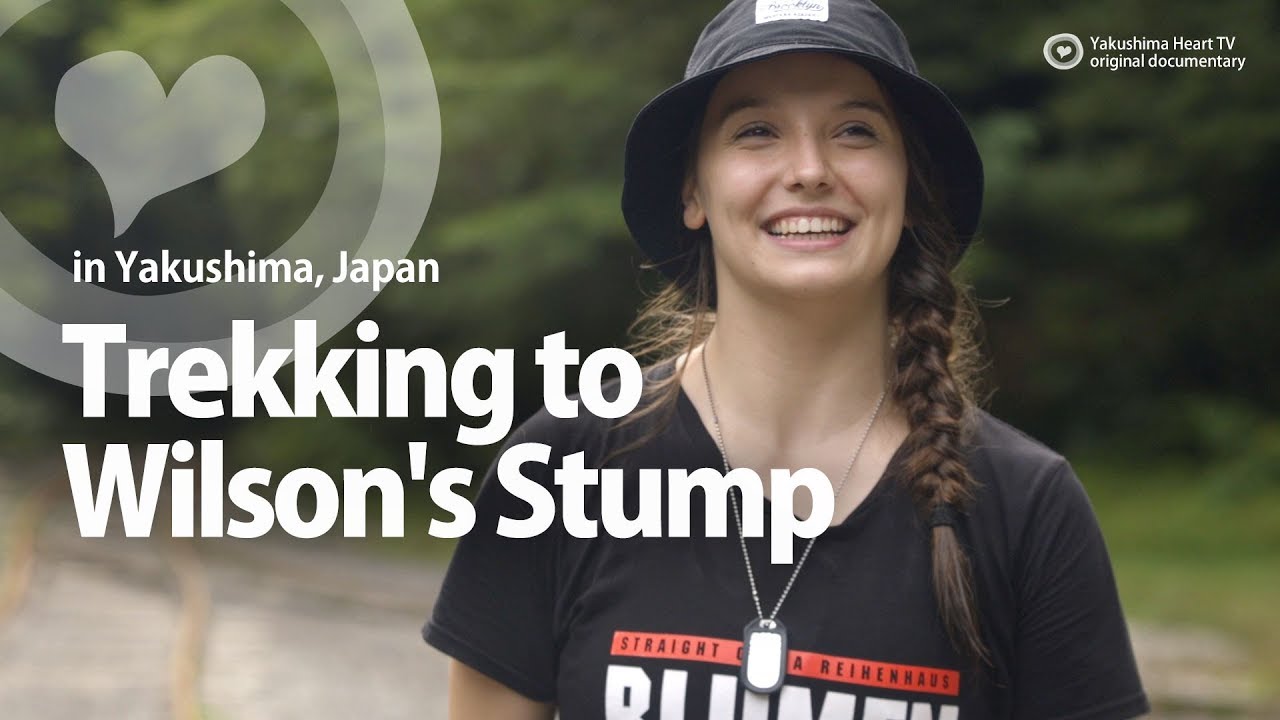 Trekking to Wilson's Stump in Yakushima - YouTube