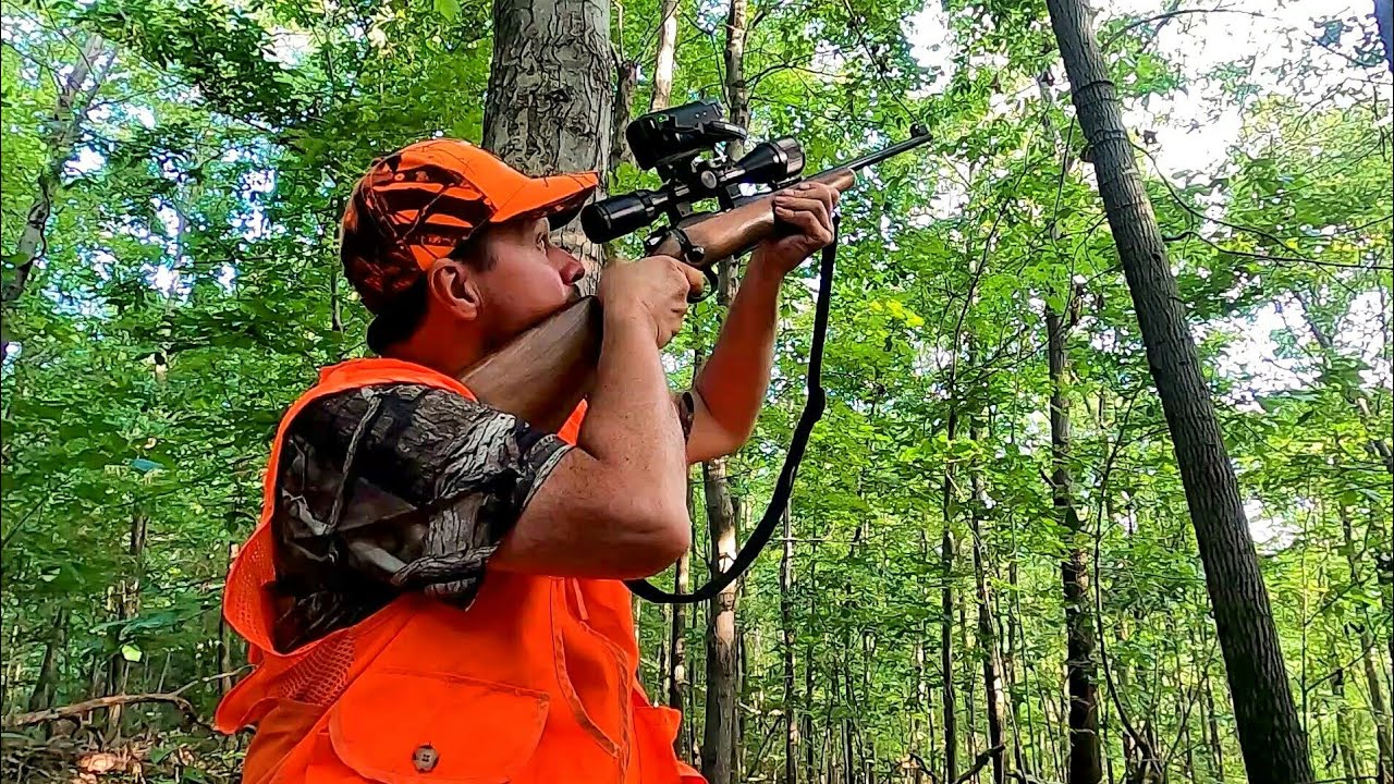 A Quick Squirrel Hunt - YouTube