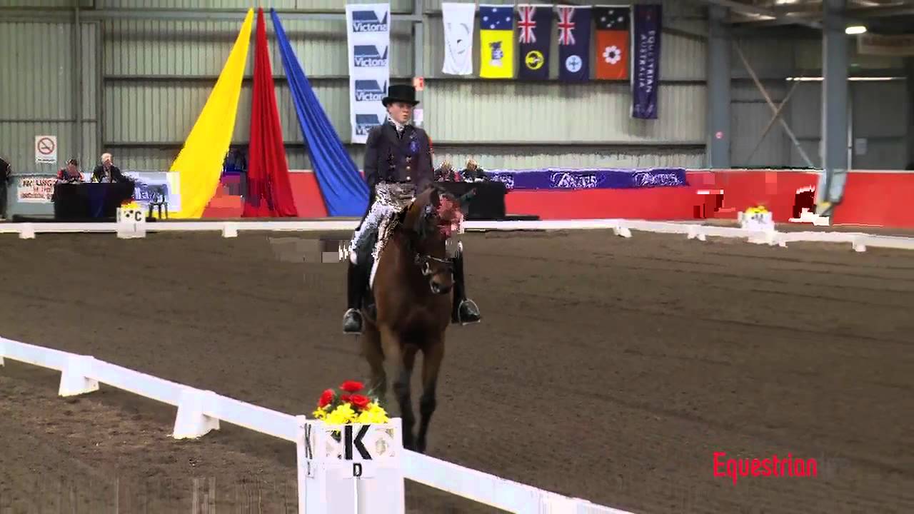 Crystal Conning and Marcus Aurelius CCI 3* Dressage at the M3DE - YouTube