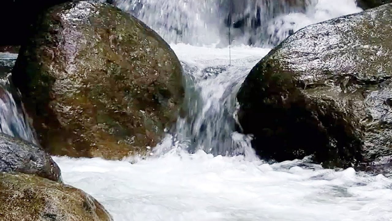 Water Sounds And Wild Bird Sounds In Nature For Relaxation - YouTube