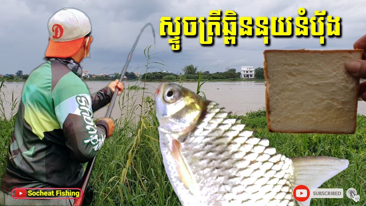 ស្ទូចឆ្ពិនទន្លេ - Amazing hook fishing - Traditional hook fishing ...