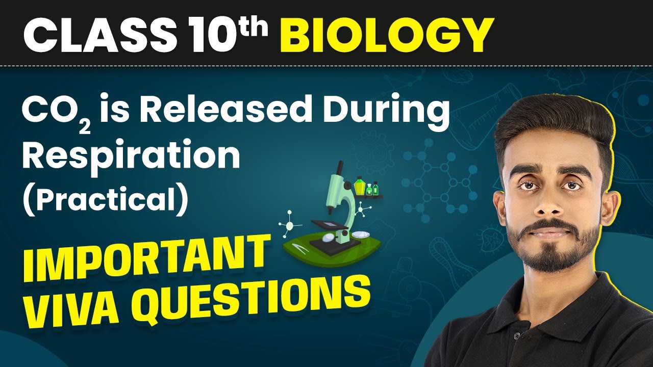 CO2 is Released During Respiration - Important Viva Questions | Class ...