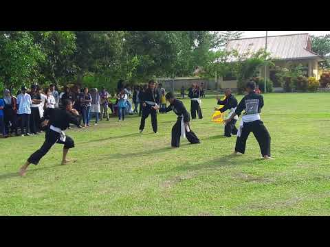 Seni keroyok Pencak Silat PSHT Ranting Sausu,SULTENG