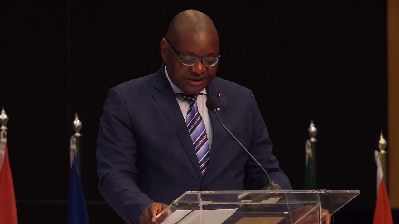 Mr David Makhura - India South Africa Business Summit 2018 Plenary ...