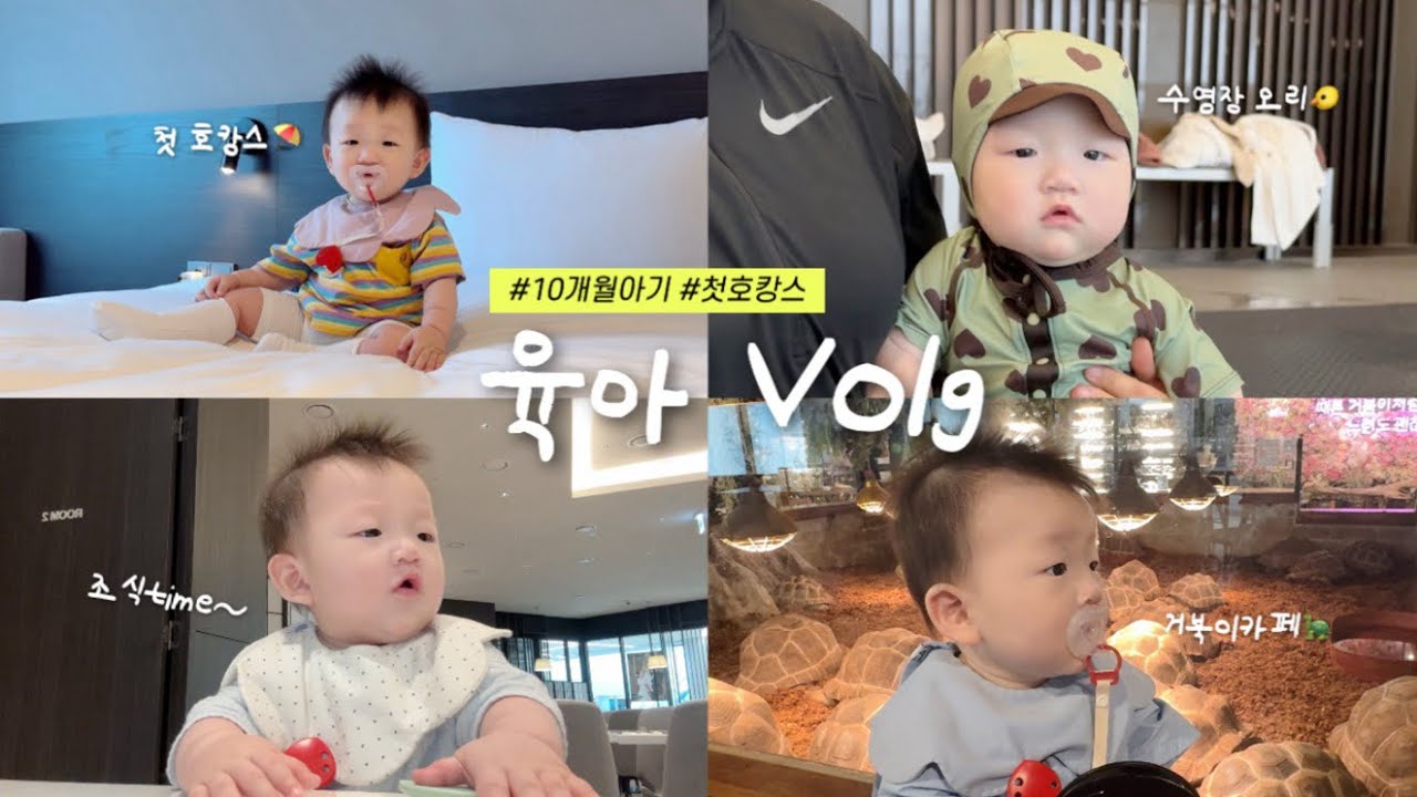 Vlog10개월 아기와 처음 간 호캉스⛱️ 호텔 수영부터 조식 거북이 카페까지 육아 브이로그👶🏻 Youtube