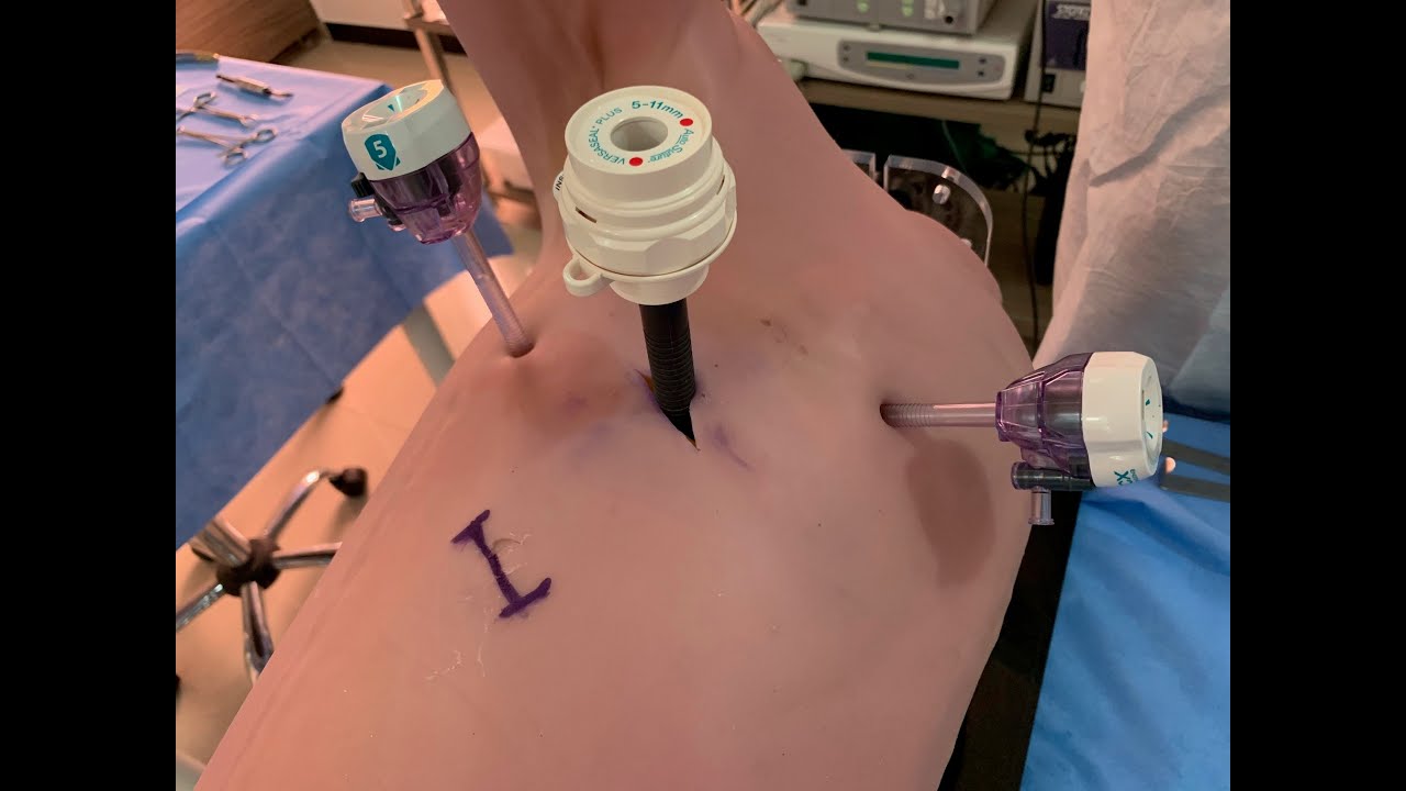 Thorácic Simulator - Thor Trauma User's Guide English - YouTube