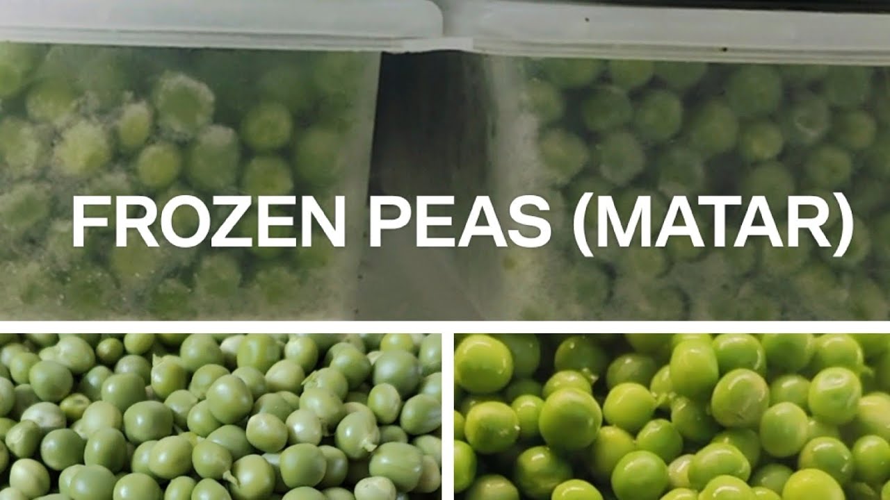 FROZEN GREEN PEAS (MATAR) - YouTube