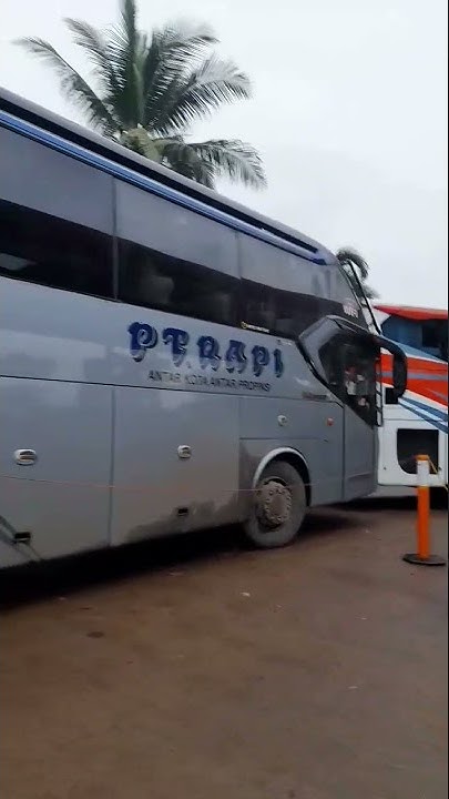 Tronton PT RAPI APOORVA Nyolar #shorts - YouTube