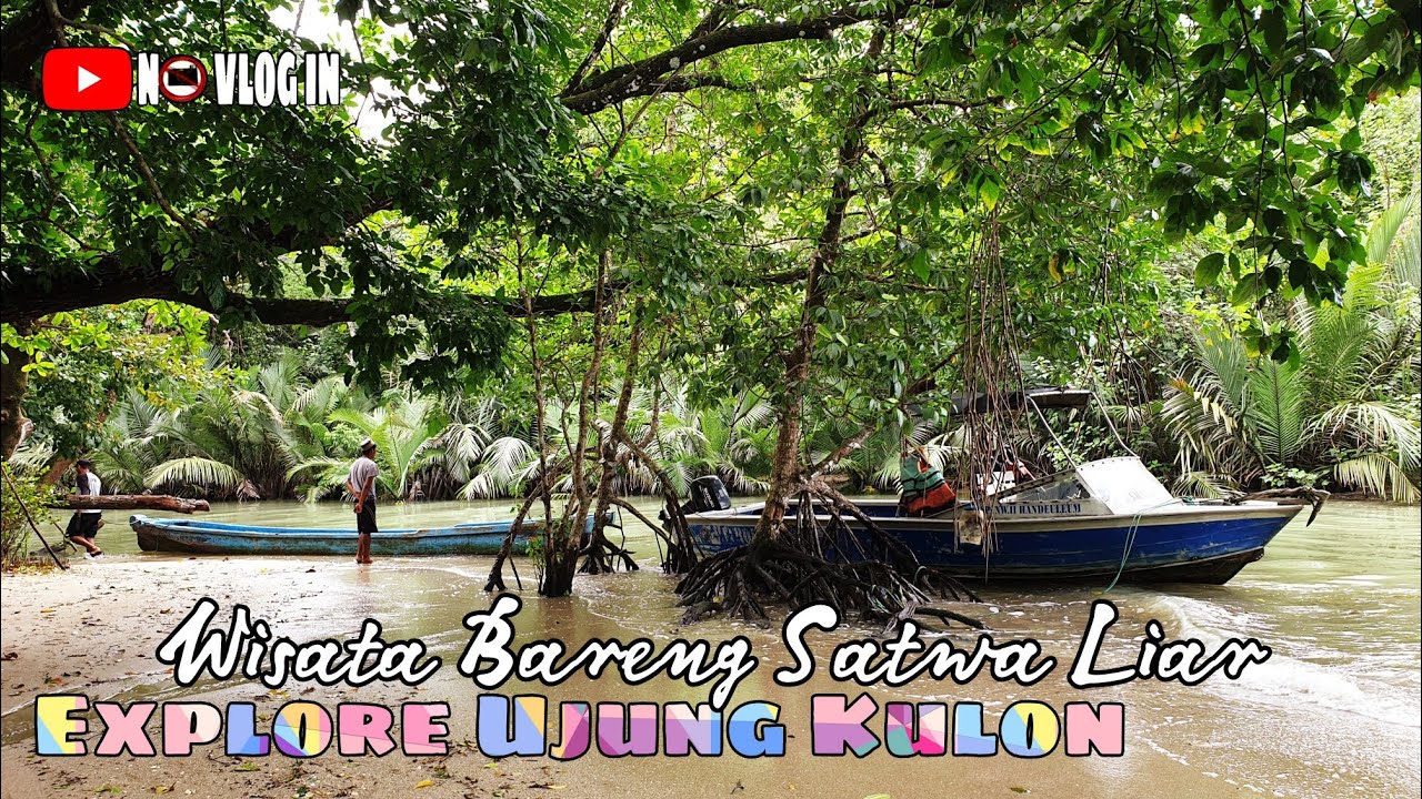 KETEMU PITON | WISATA UJUNG KULON | KARANG COPONG | SUNGAI CIGENTER ...