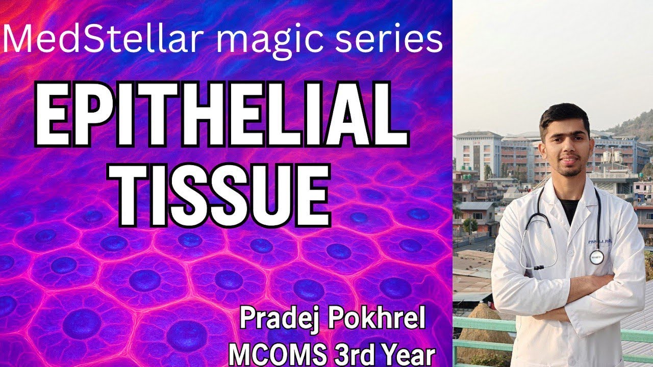 Animal tissue 01 ||Epithelial tissue ||CEE 2082||Magic Series - YouTube
