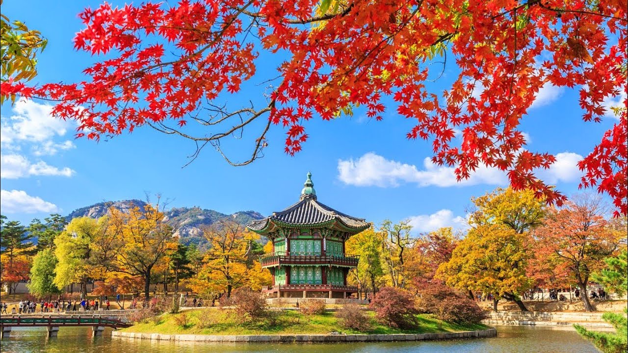 See the Beauty of South Korea 🥰😘😍 - YouTube