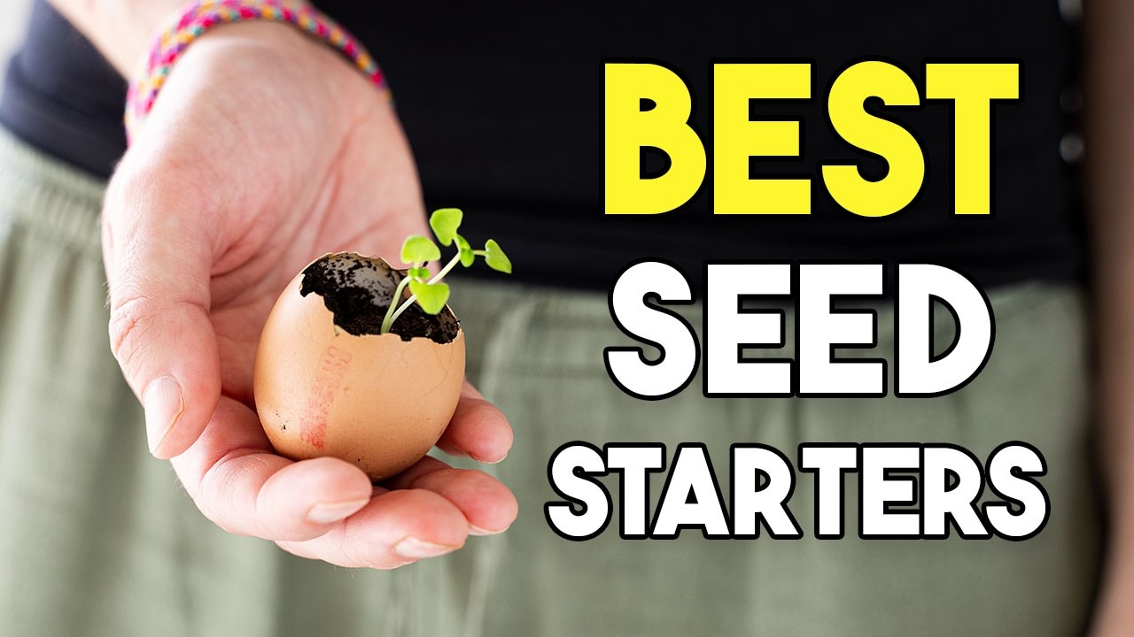 The Ultimate Eggshell Seed Starter Guide 🌱 - YouTube
