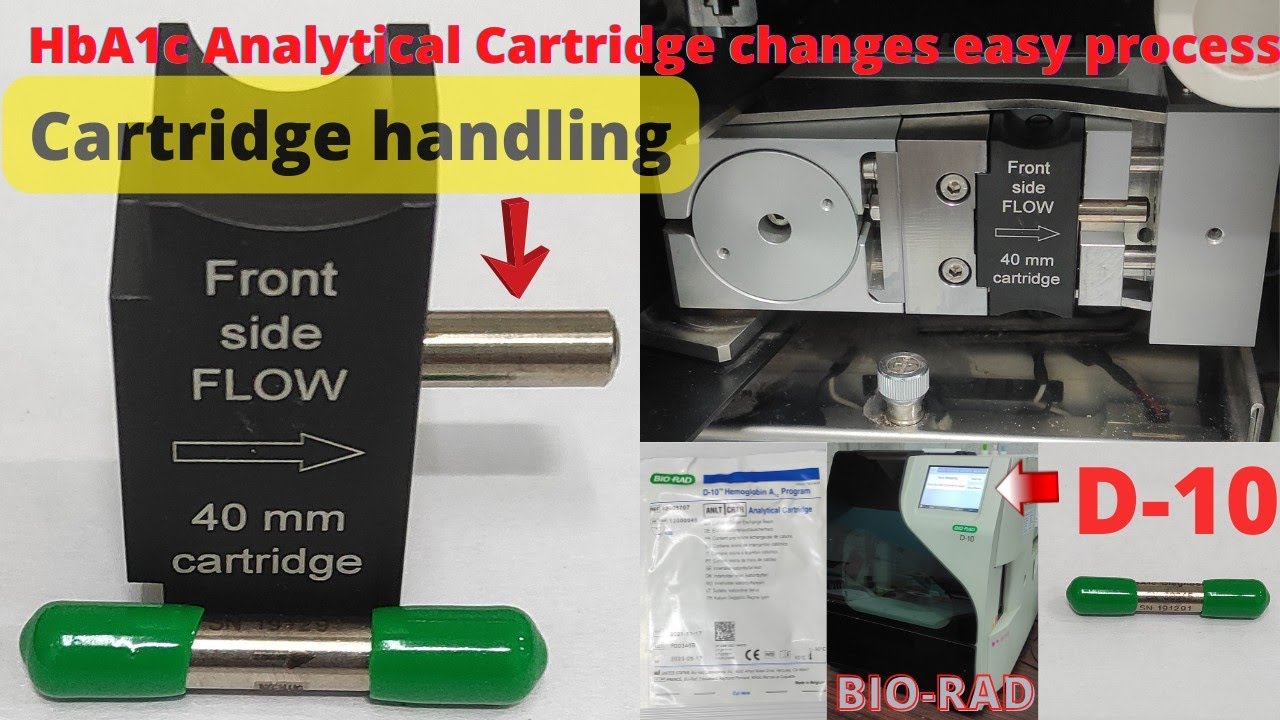 New cartridge installed | D-10 | Bio-Rad | HbA1c ...