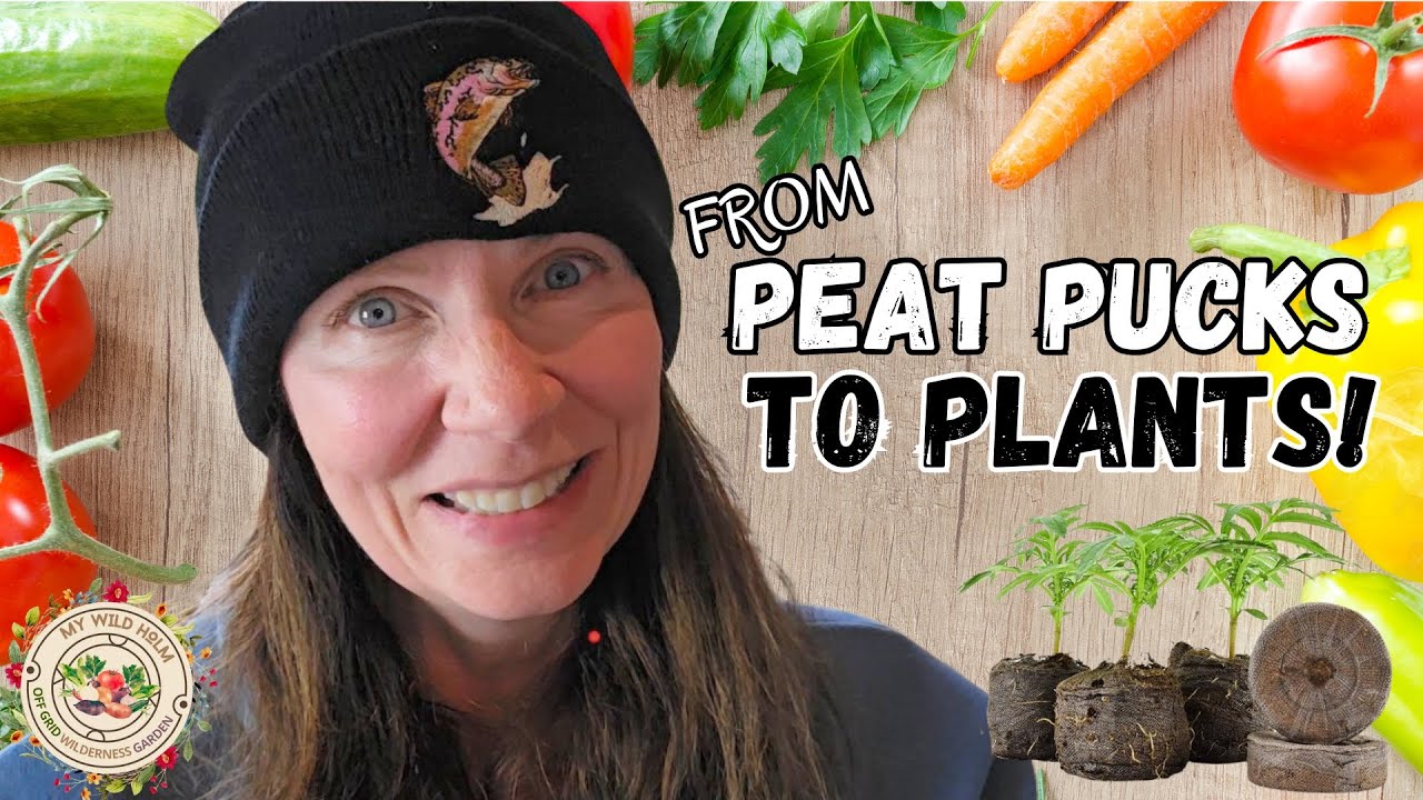 Greenhouse Seed Starting Guide - From Peat Pucks to Plants! - YouTube