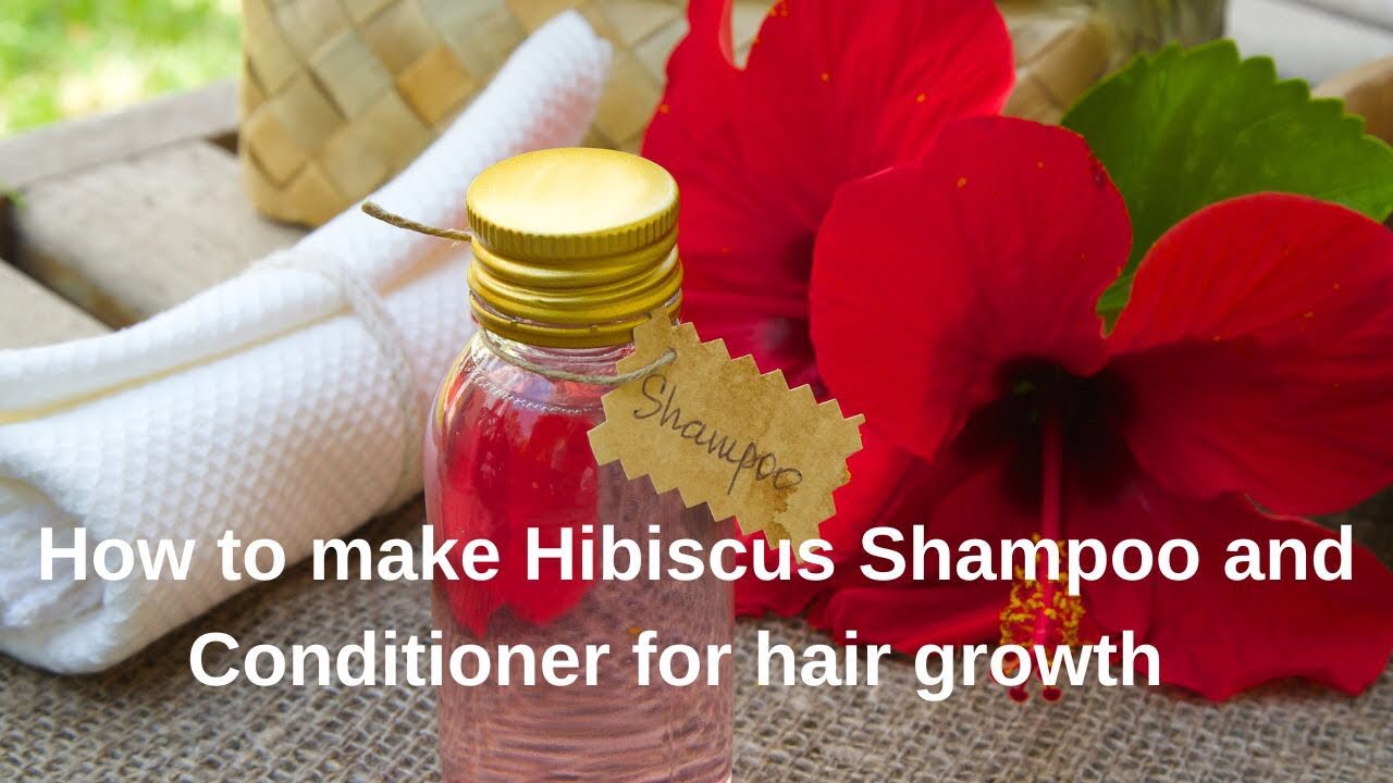 How to make Hibiscus Shampoo and Conditioner for hair growth - YouTube